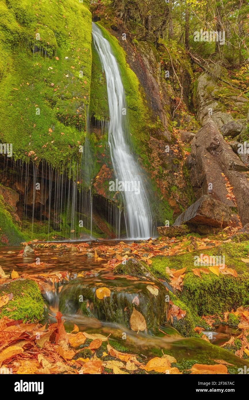 The green state hi-res stock photography and images - Alamy