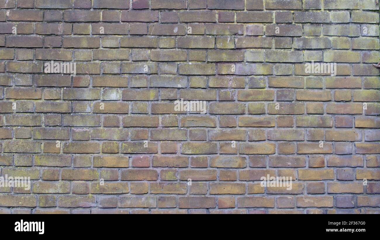 Plain weathered brick wall filling full frame with copy space Stock ...