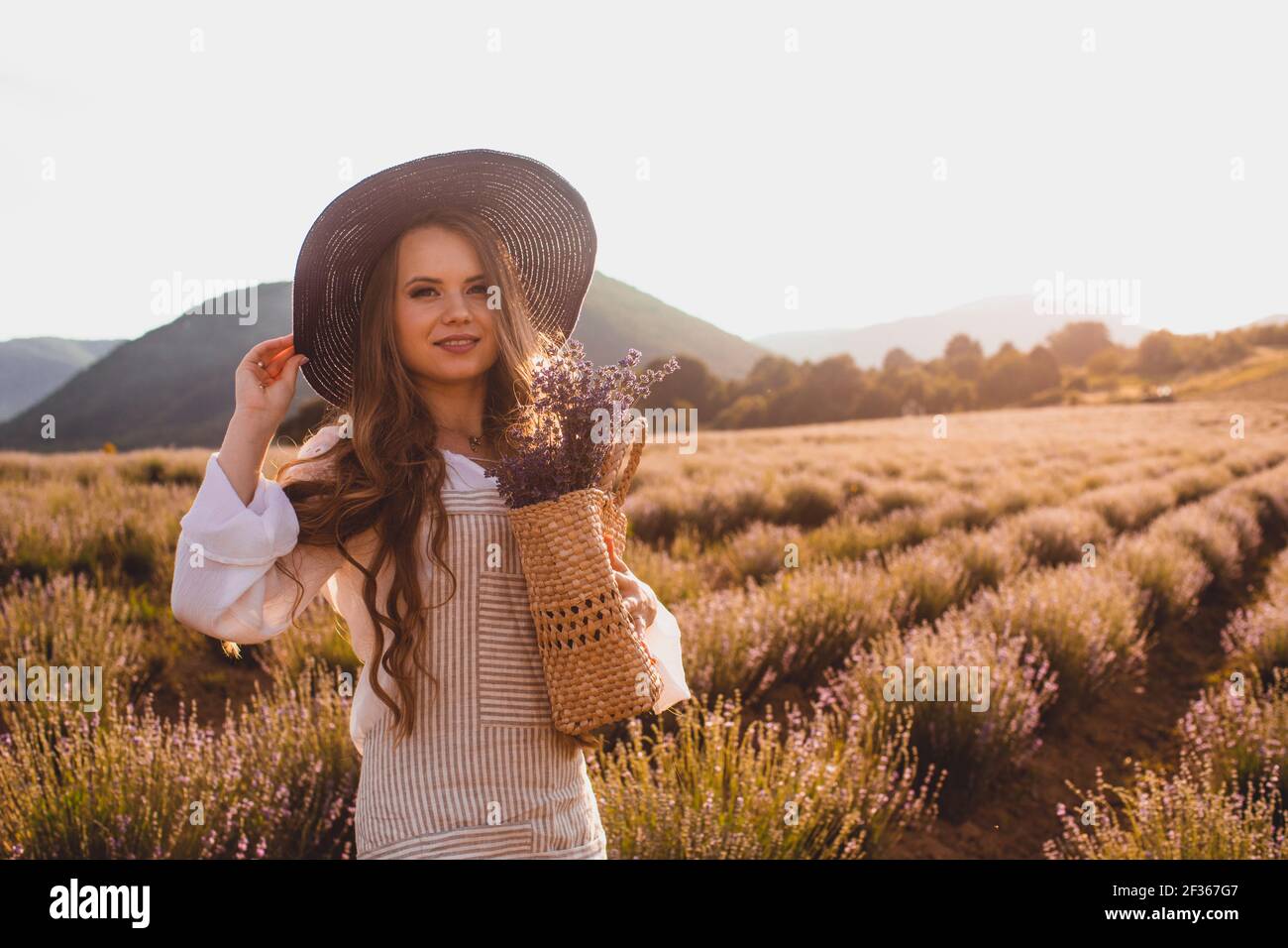 The extraordinary day on a lavender plantation Stock Photo - Alamy