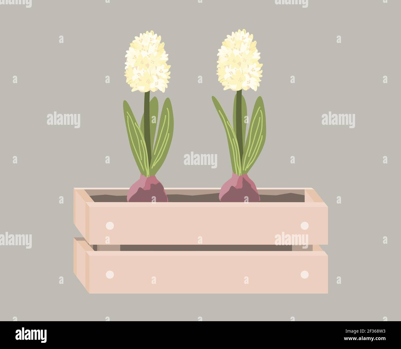 White painted box on Stock Vector Images - Alamy