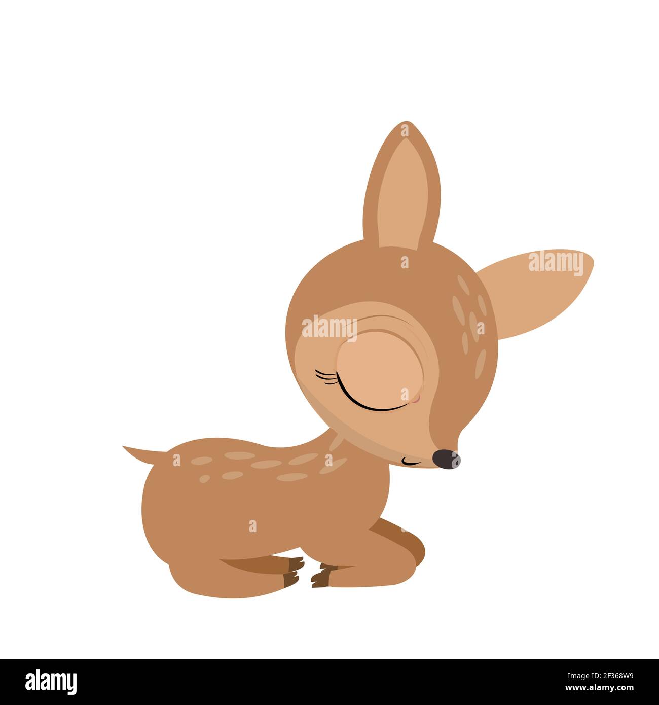 A little baby fawn without horns. Isolated object on a white background ...