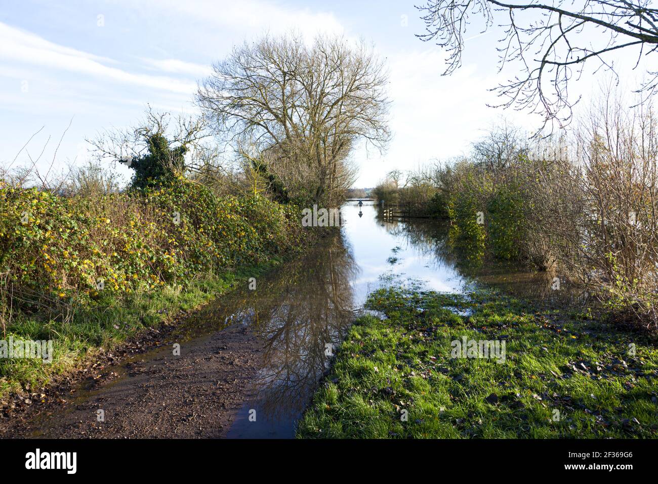 Floods by the River Severn - 29th November 2012 - a country lane ...