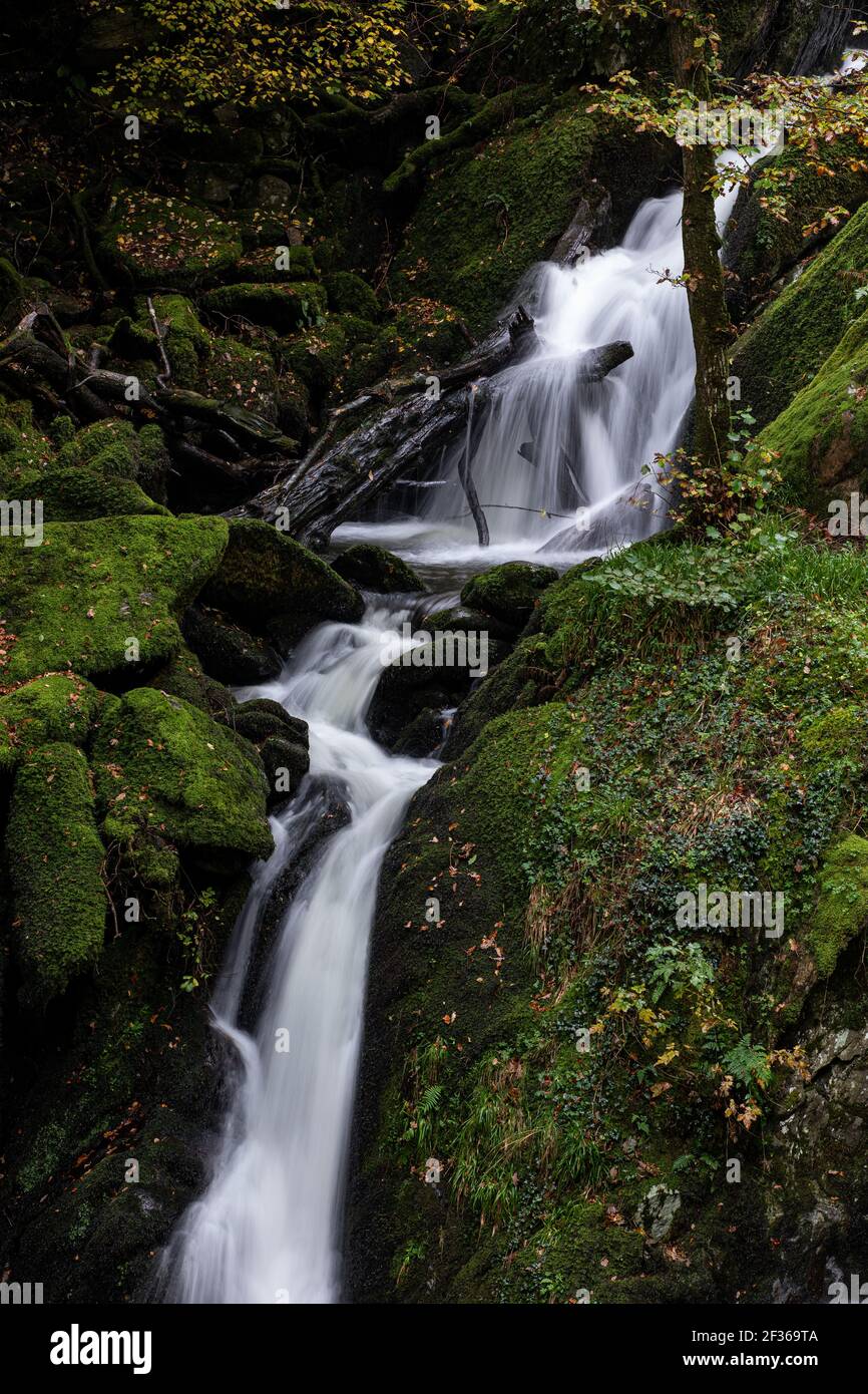 Stock Ghyll Force waterfall in Ambleside in the Lake District, Cumbria ...