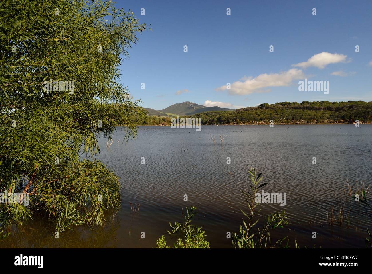 Baratz hi-res stock photography and images - Alamy