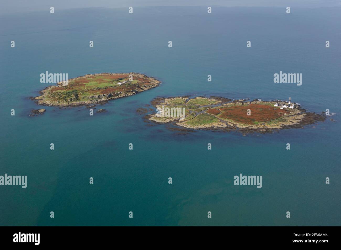 Mew island lighthouse hi-res stock photography and images - Alamy