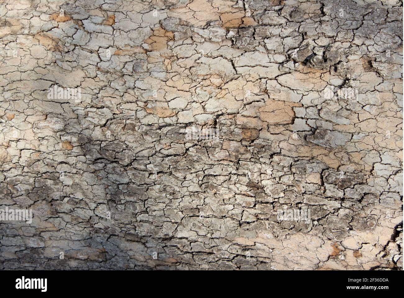 Small particles hi-res stock photography and images - Alamy