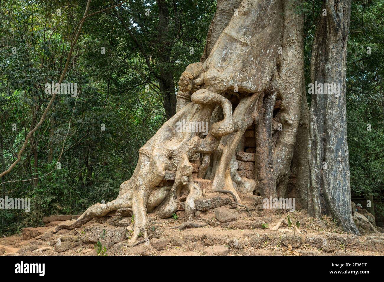 The Baphuon temple in Angkor Thom, Siem Reap Province, Cambodia, Asia ...