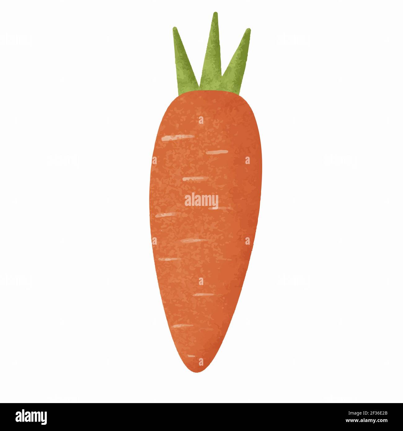 Carrot vegetable flat illustration on white background vector ...