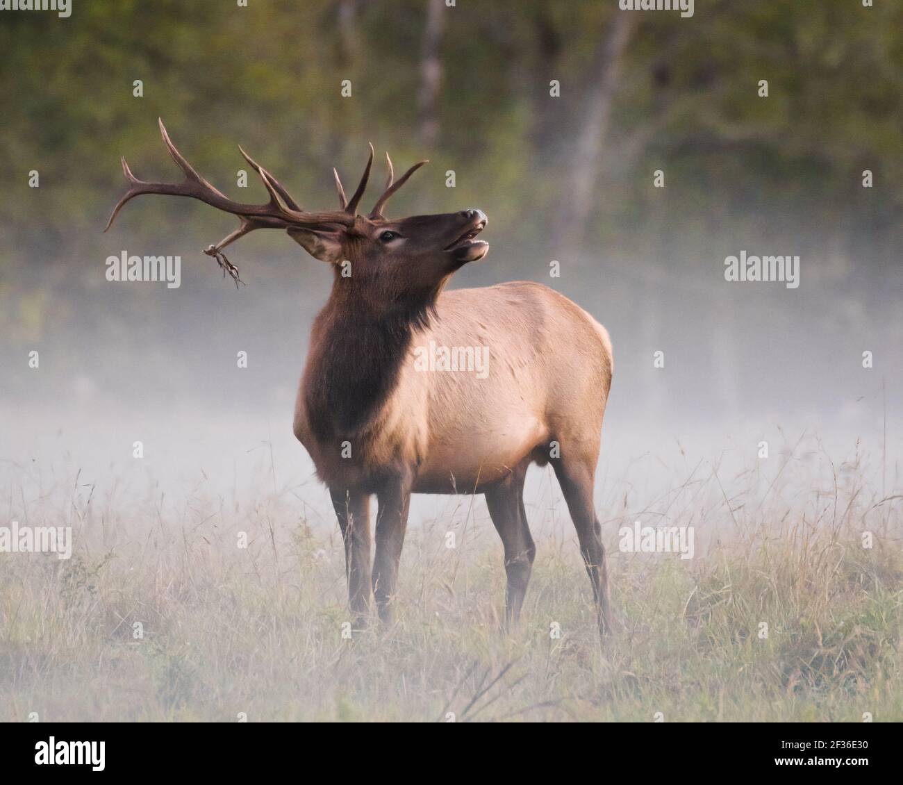 Call points hi-res stock photography and images - Alamy