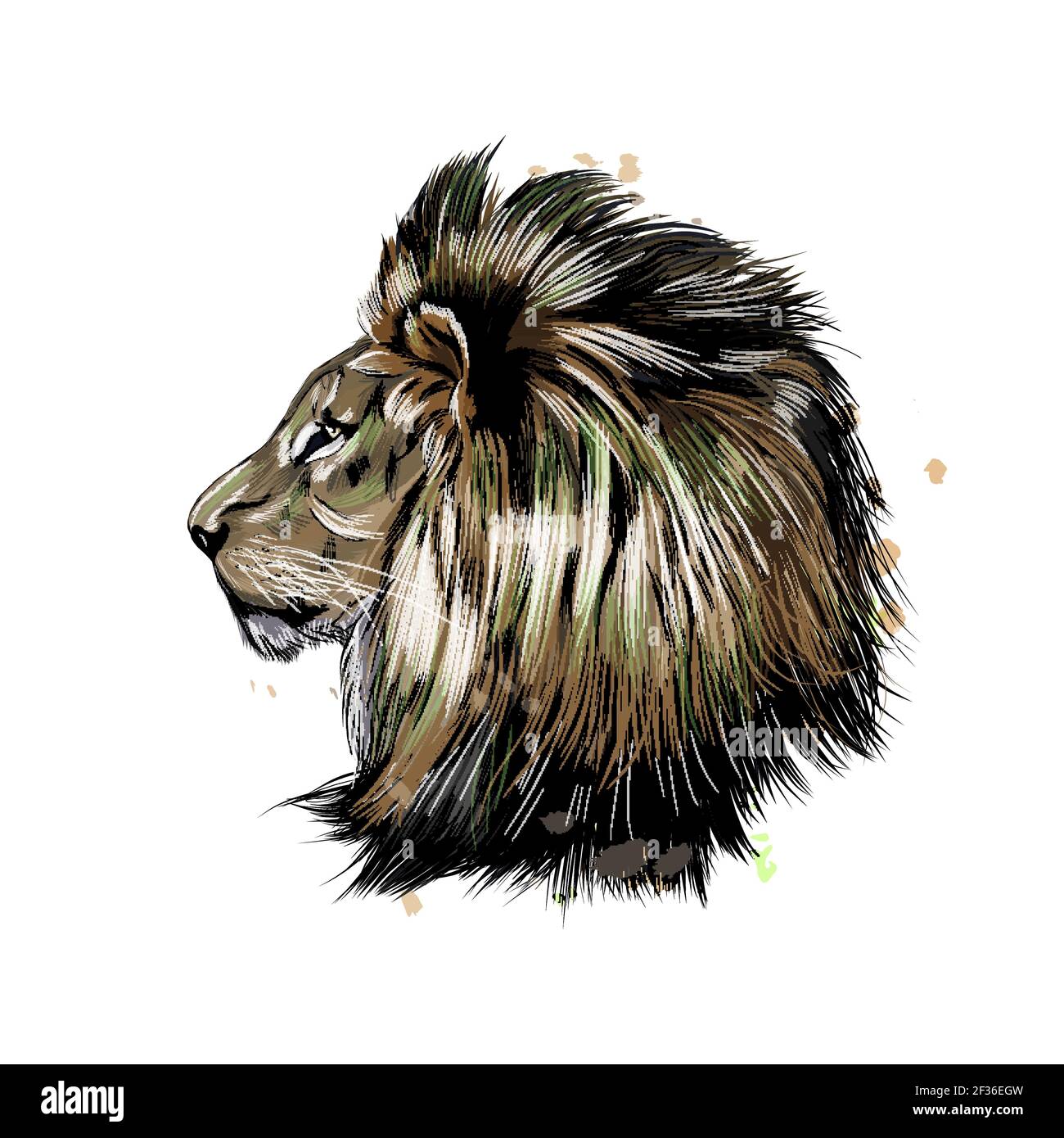 Realistic Lion Drawing