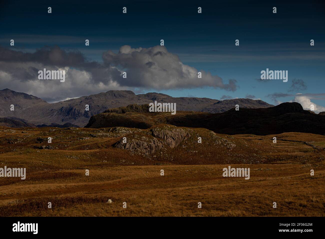 White idsok hi-res stock photography and images - Alamy