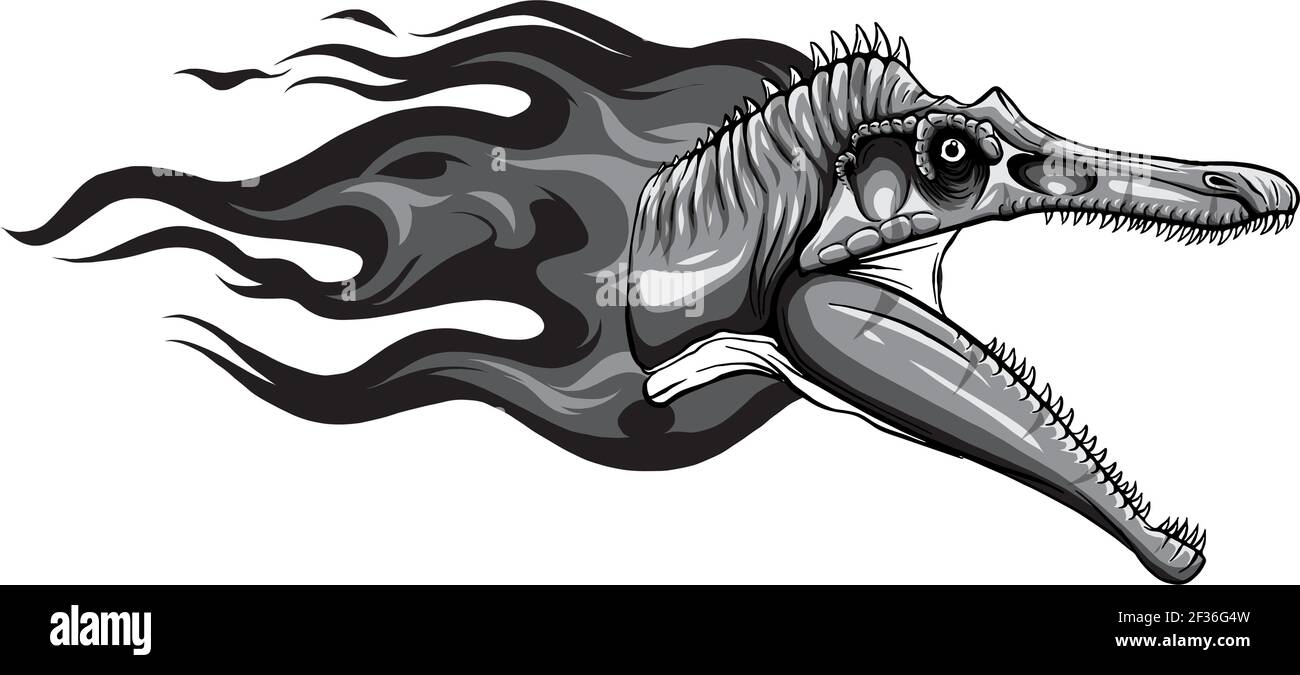 Spinosaurus Head Drawing