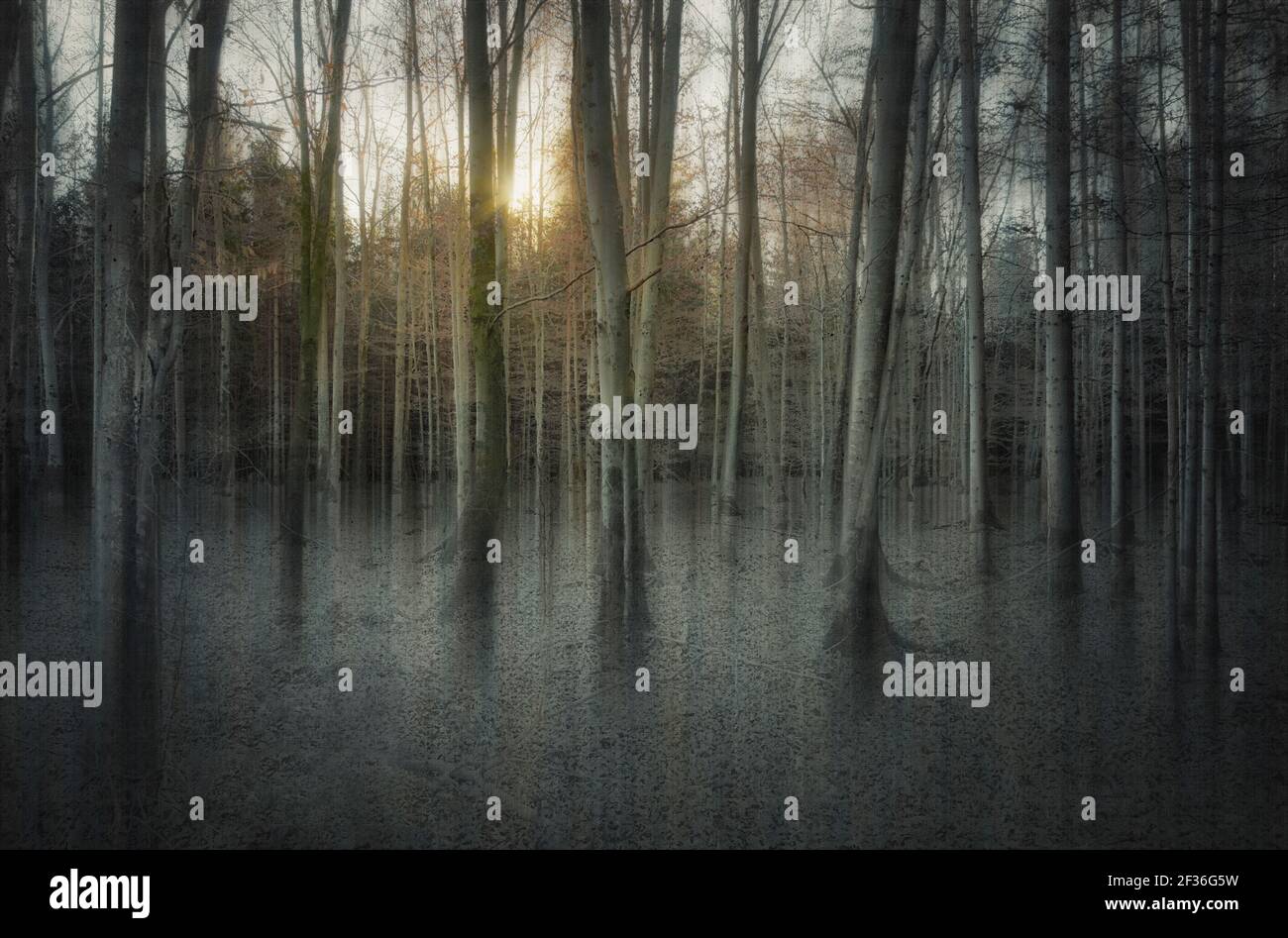 Bad magic backdrop hi-res stock photography and images - Alamy