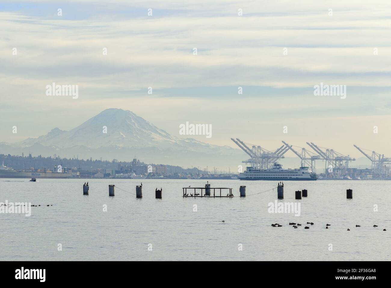 Mt. Rainier from Seattle Stock Photo - Alamy