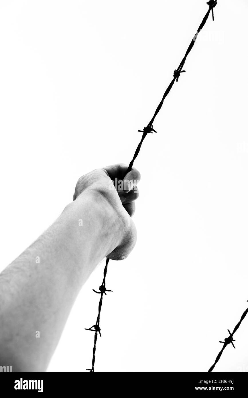 Person holding barbed wire fence barbed wire Black and White Stock ...