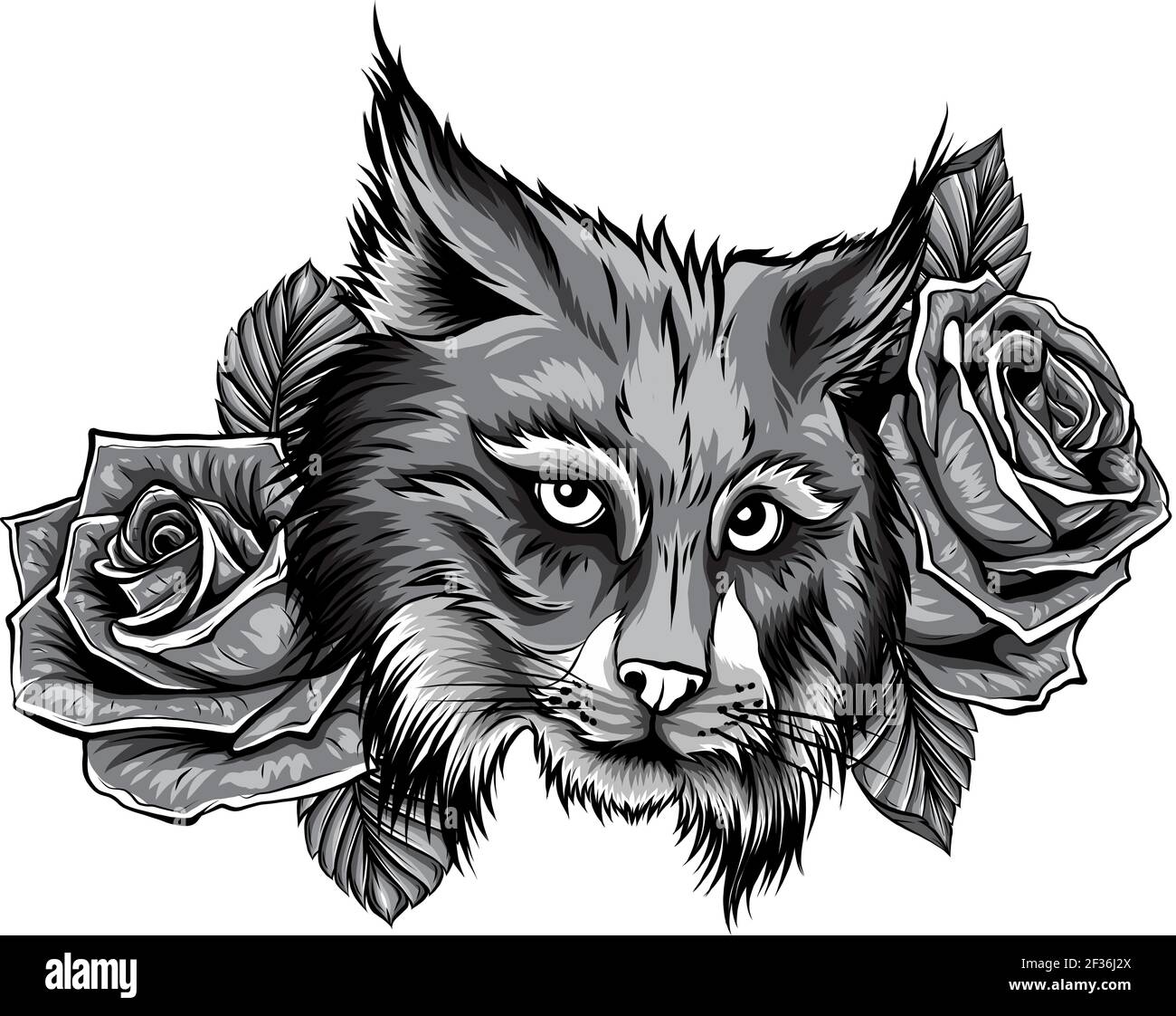 monochromatic Vector illustration of angry bobcat face profile Stock ...