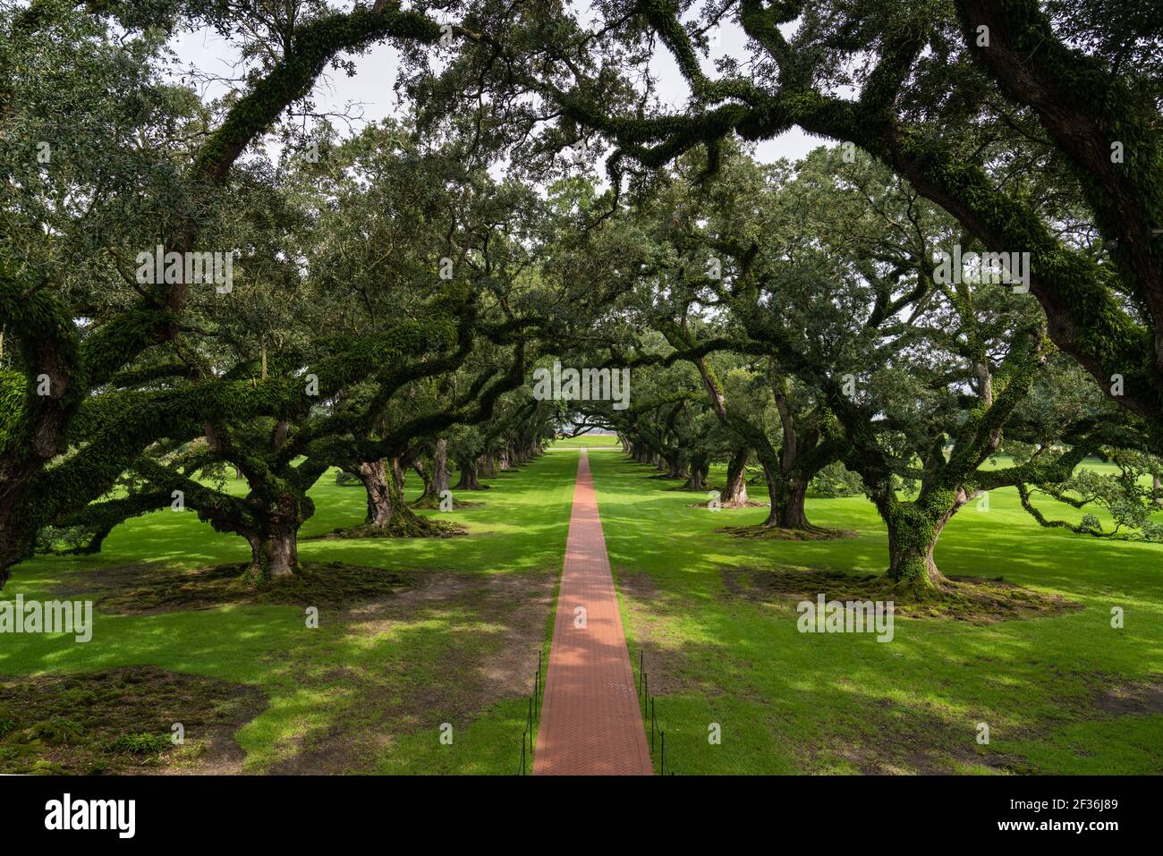 Oak Alley Plantation Stock Photo - Alamy
