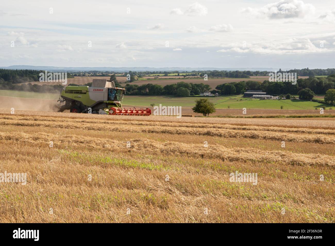 combine harvester harvesting during the summer, fields in the ...