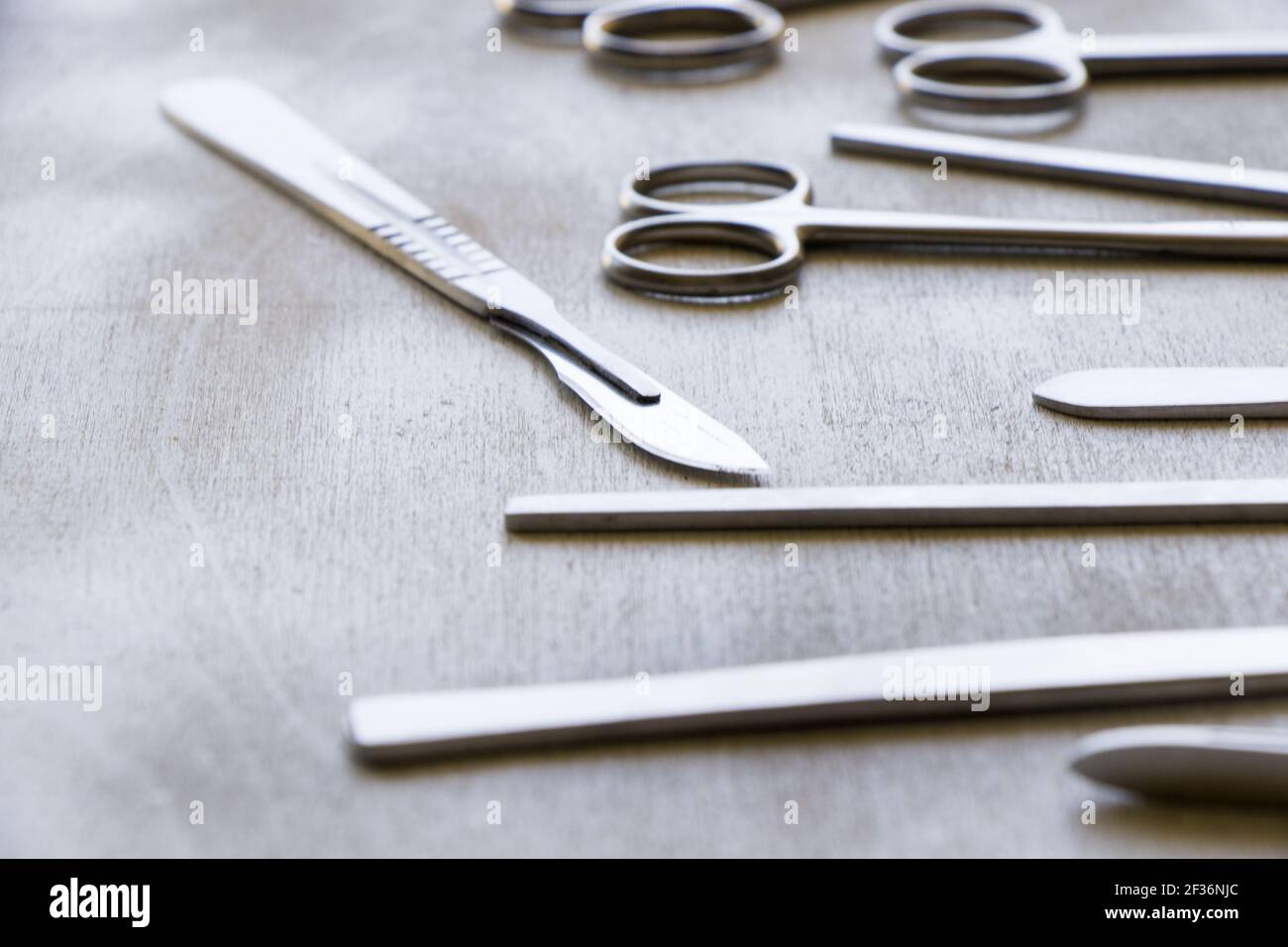 A dissection kit with stainless steel surgical instruments for medical ...