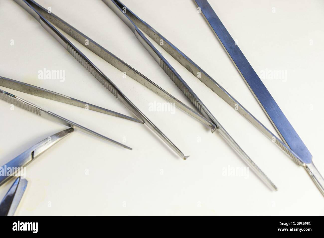 A dissection kit with stainless steel surgical instruments for medical ...