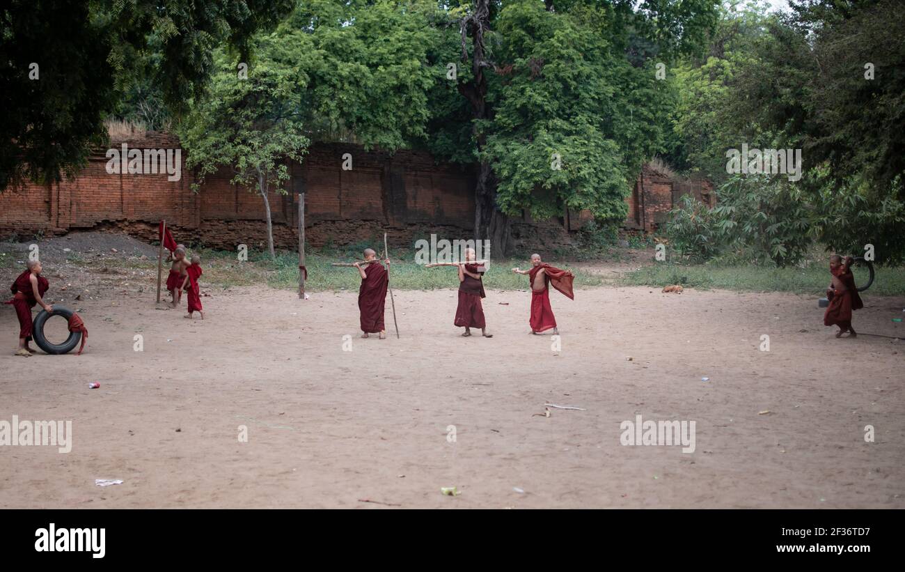 Throwing sticks hi-res stock photography and images - Alamy