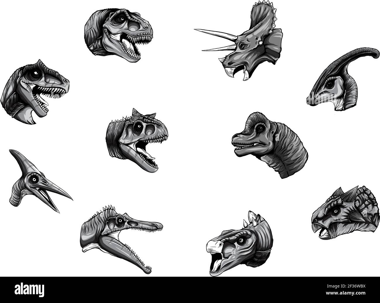 Velociraptor Head Drawing