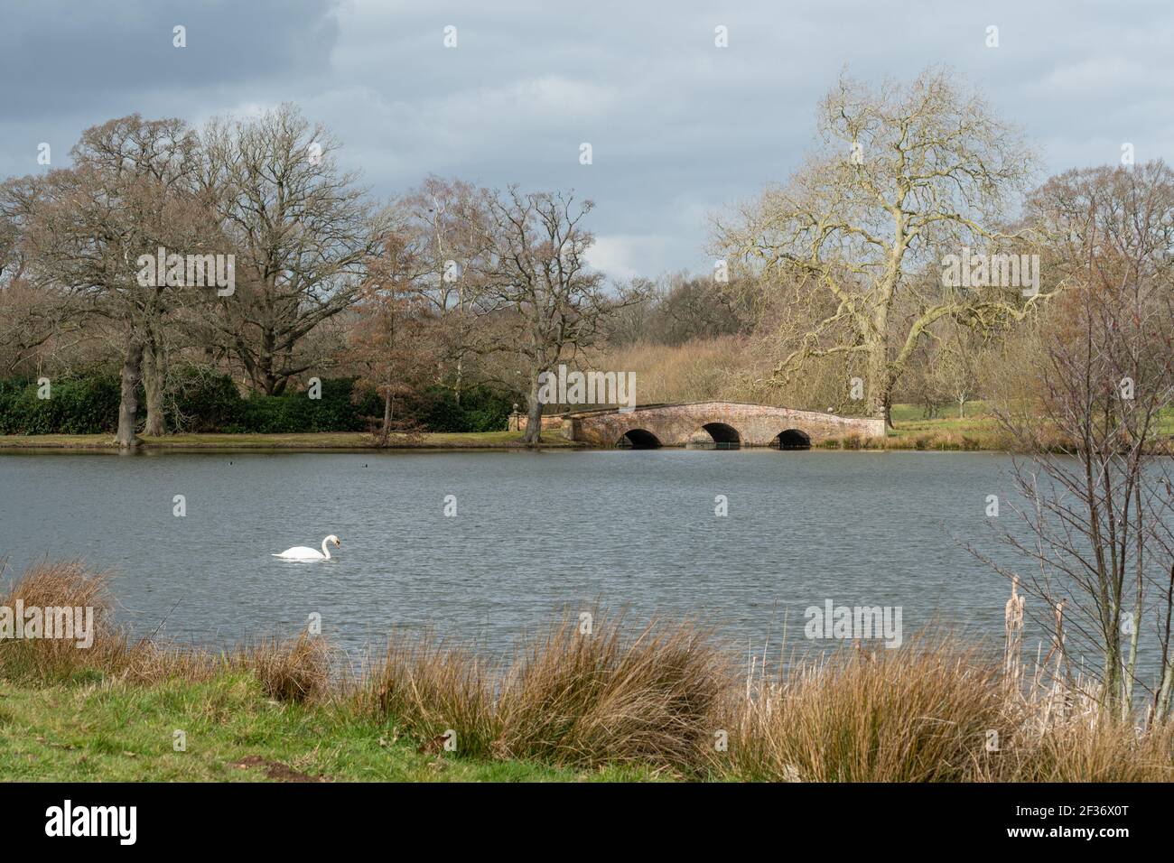 Dogmersfield lake hi-res stock photography and images - Alamy