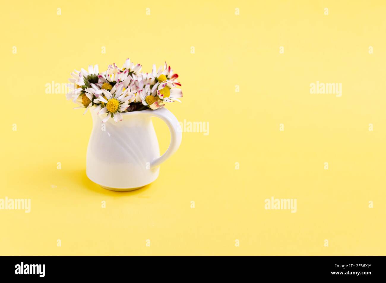 Beautiful daisy flowers in ceramic white vase on illuminating ...