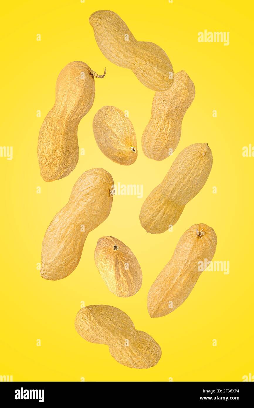 Falling down peanut in shell isolated on yellow Stock Photo - Alamy