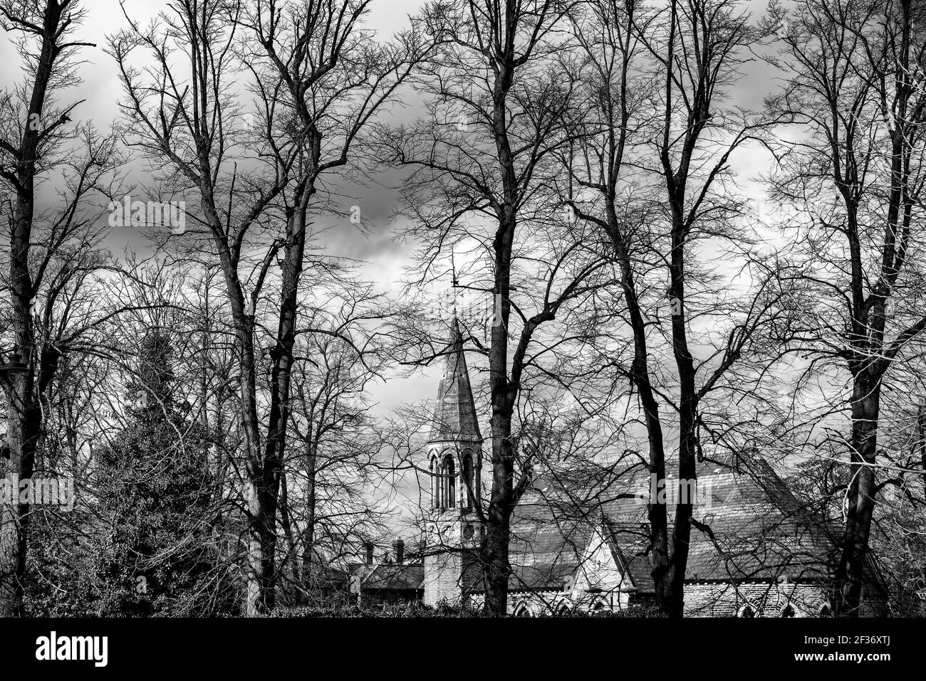 A church viewed though a row of trees. There is a bell tower at the far ...