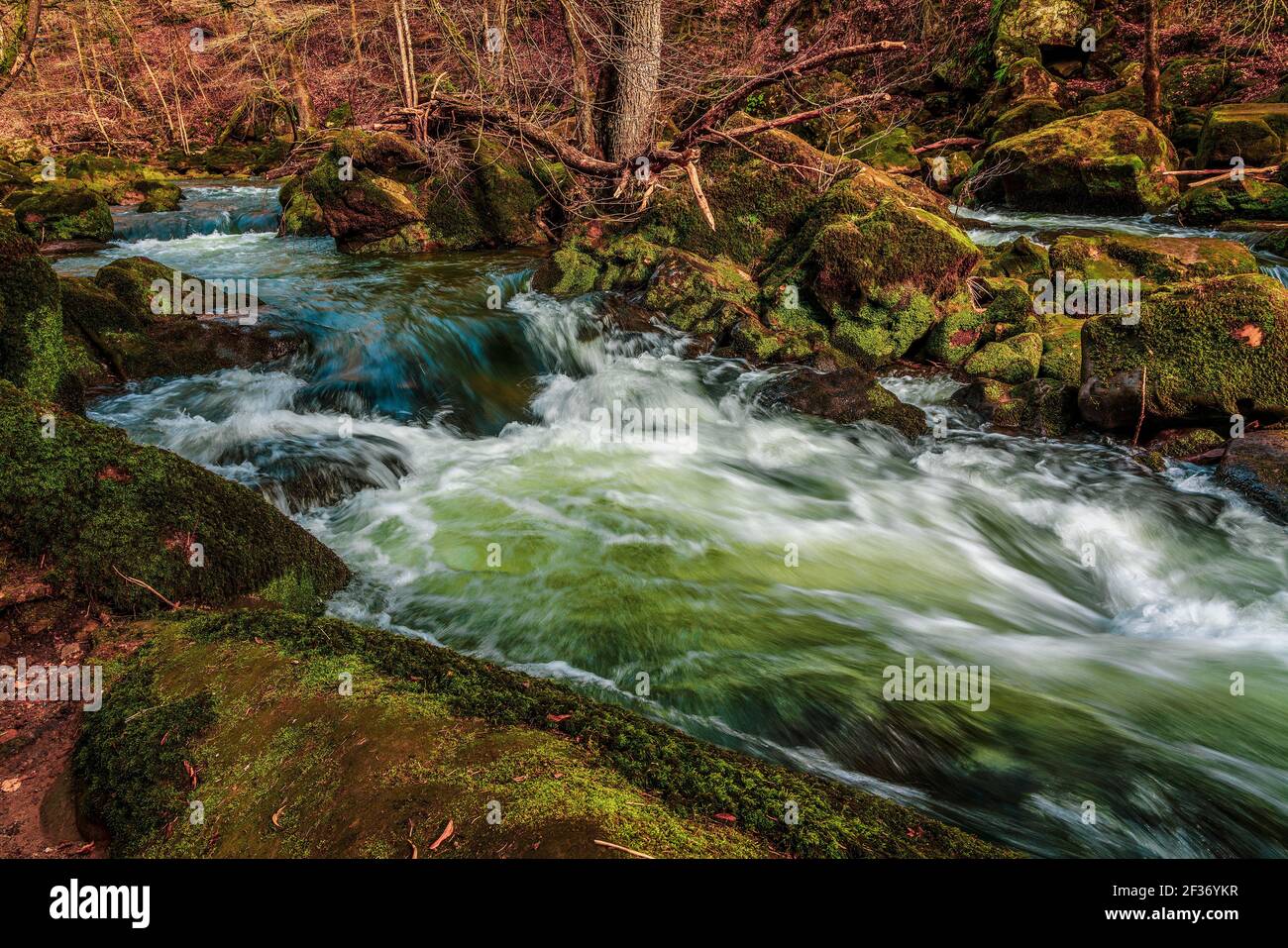The rapids in the lower reaches of the Prüm near Irrel in the Eifel ...
