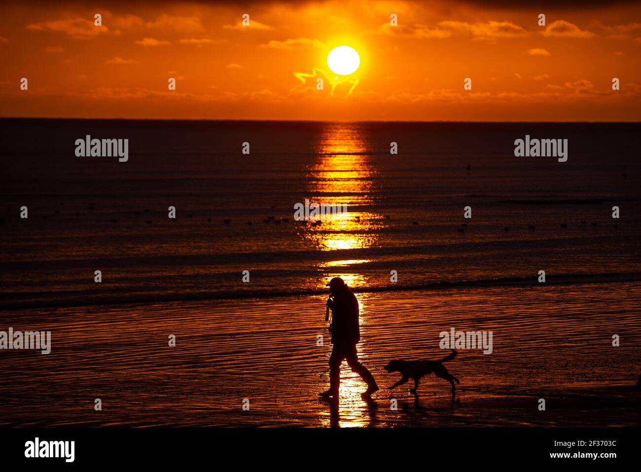 A dog walker taking a walk on the beach as the last sunset of 2020 ...
