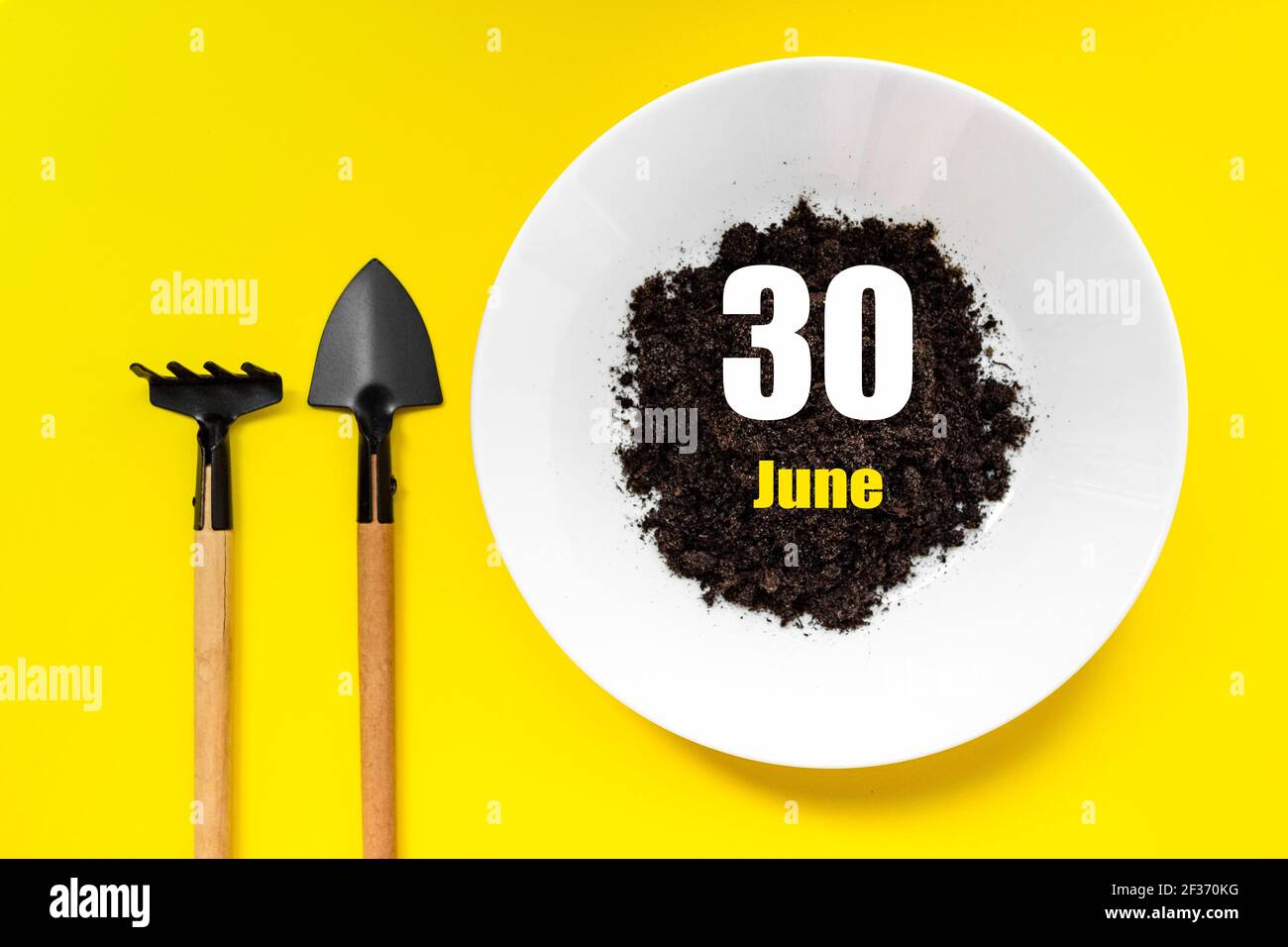 June 30th. Day 30 of month, Calendar date. White plate of soil with a ...