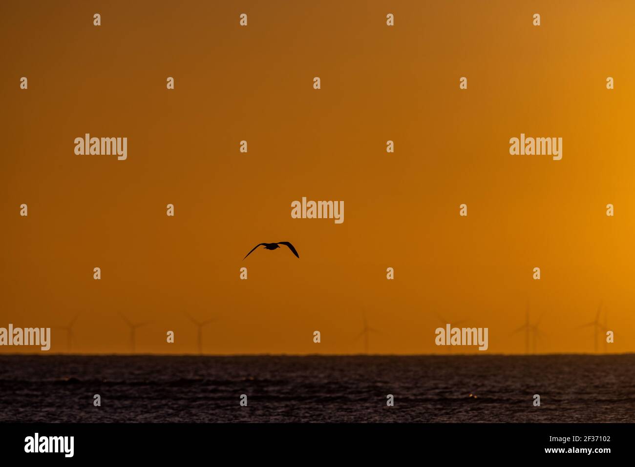 Wind turbines in english channel hi-res stock photography and images ...