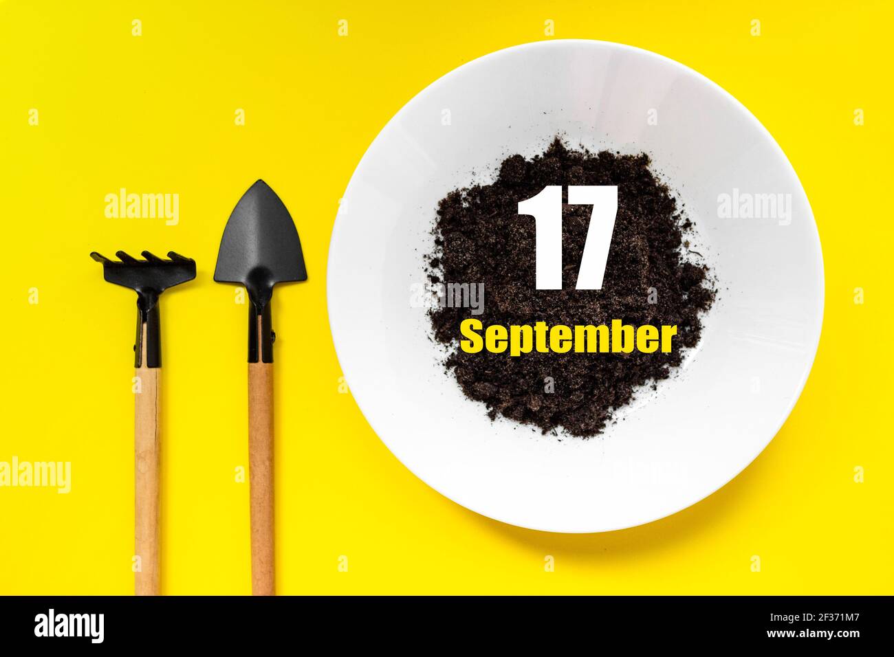 September 17th. Day 17 of month, Calendar date. White plate of soil ...