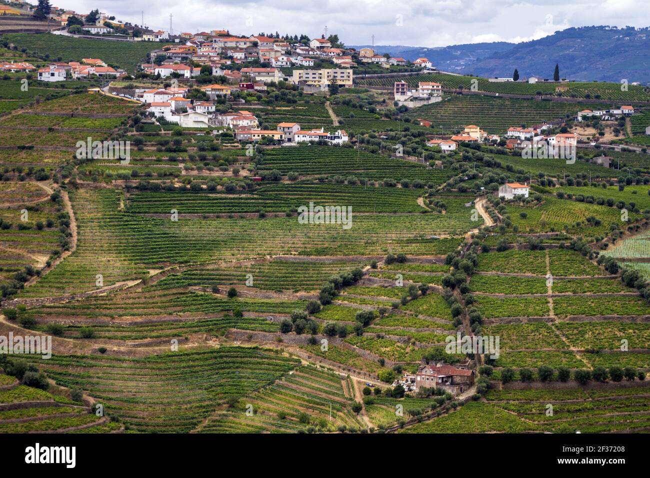 The landscape view of the rural environment with beautiful houses and ...