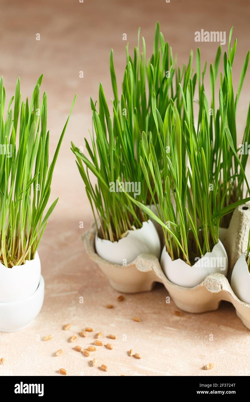 Food styli hi-res stock photography and images - Alamy