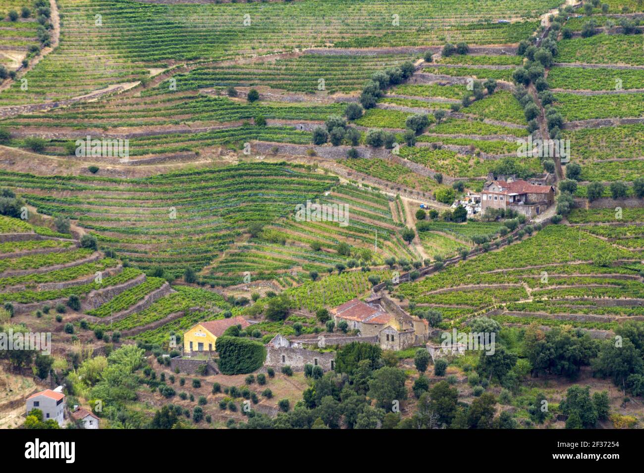 The landscape view of the rural environment with beautiful houses and ...