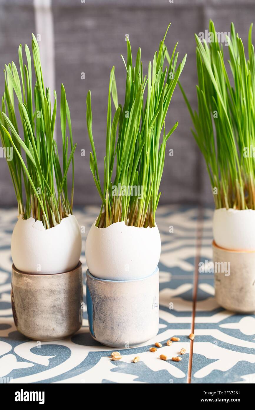 Food styli hi-res stock photography and images - Alamy