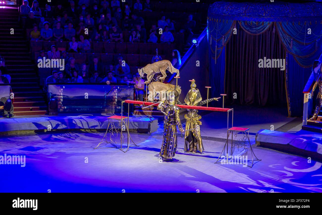 Presentation (Show) in Moscow State Circus (Big Moscow Circus on ...