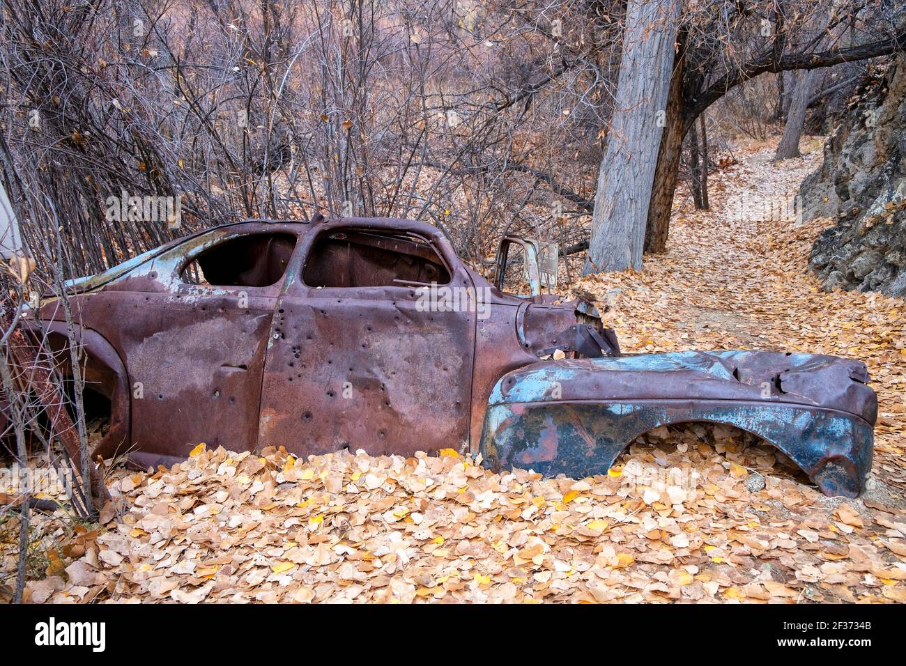 Old, rusted, bullet ridden, 1941 Ford in the Morongo Valley, CA Stock ...