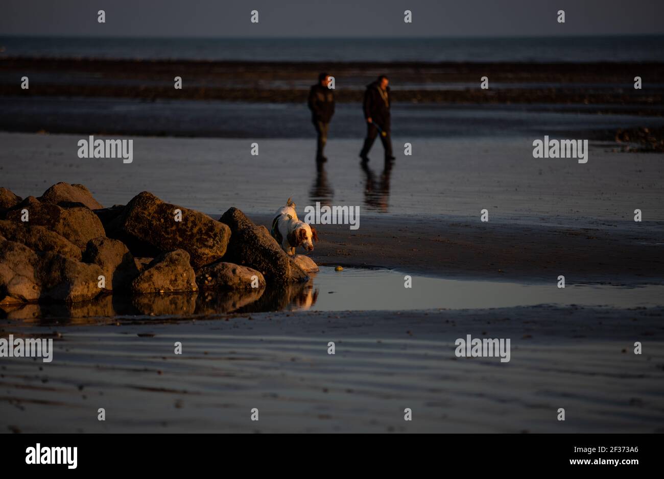 The rising sunrise as birds fly and people walk their dog at Rustington ...