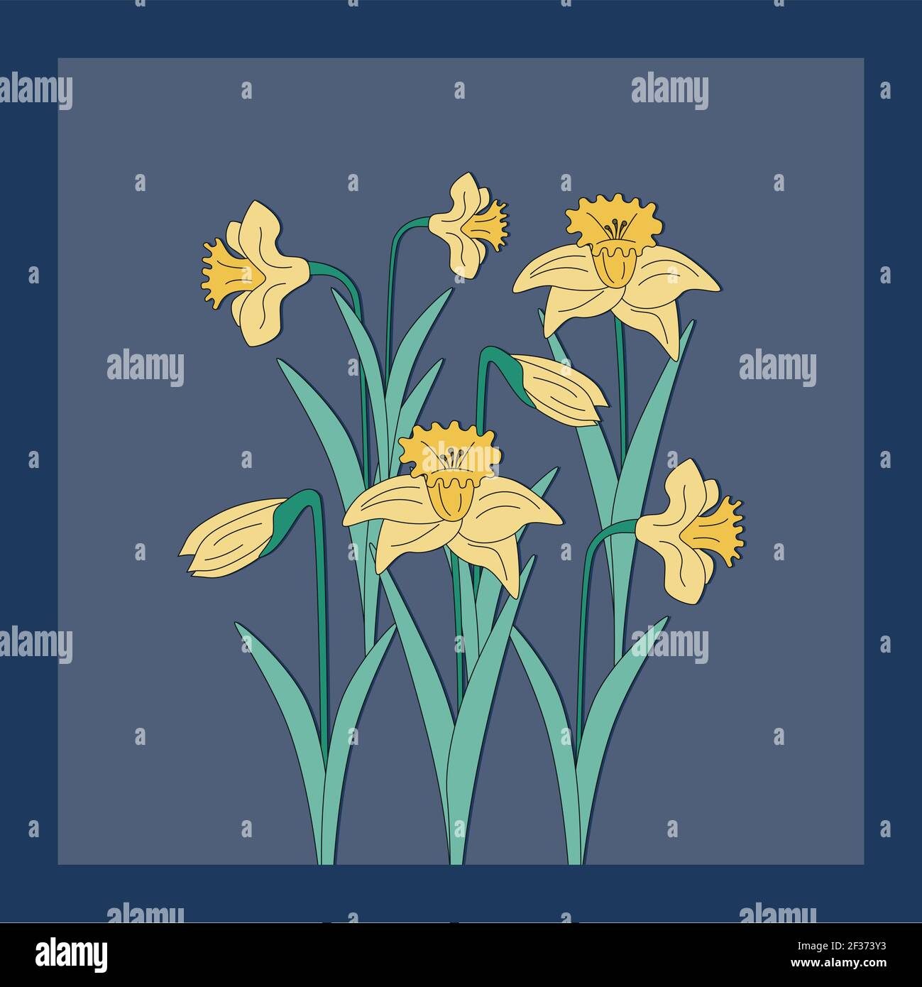 Daffodils in blossom Stock Vector Images - Alamy