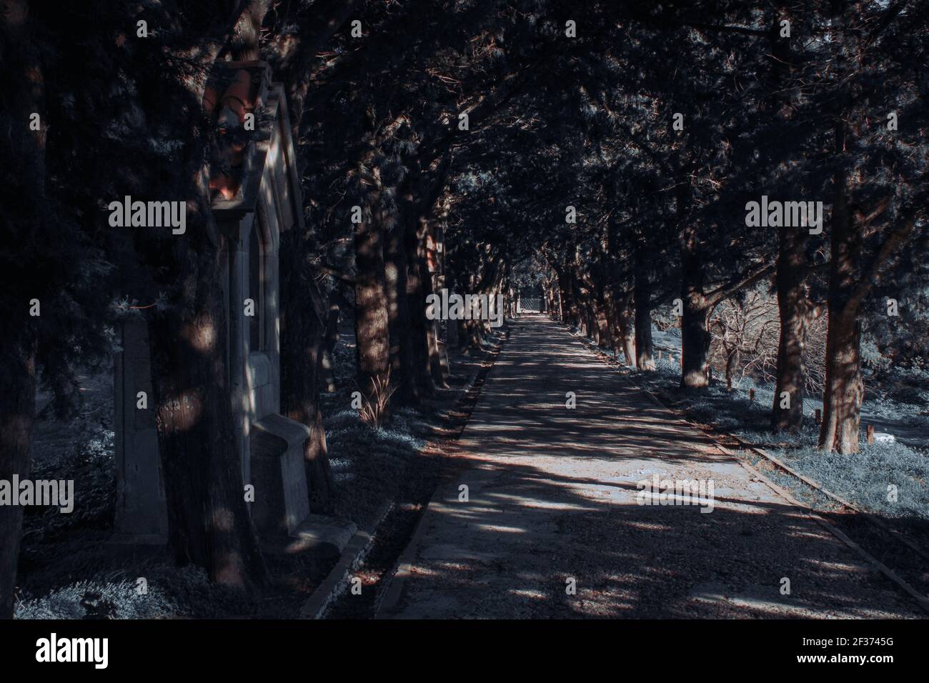 Following the path Stock Photo - Alamy