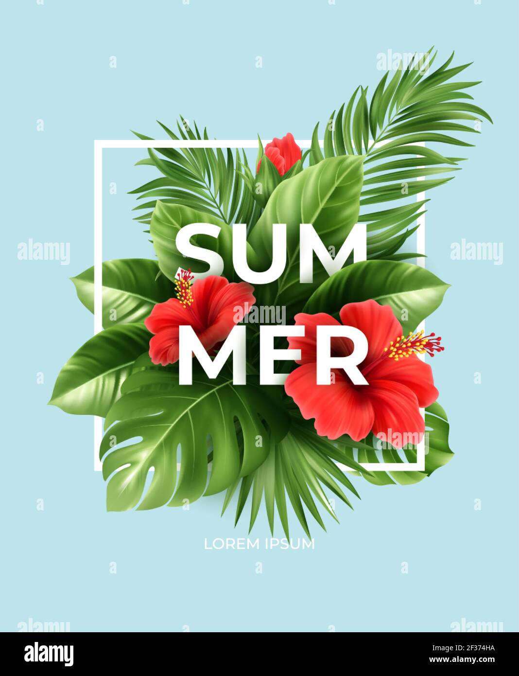 Tropical summer background. Tropical palm leaves, monstera with ...
