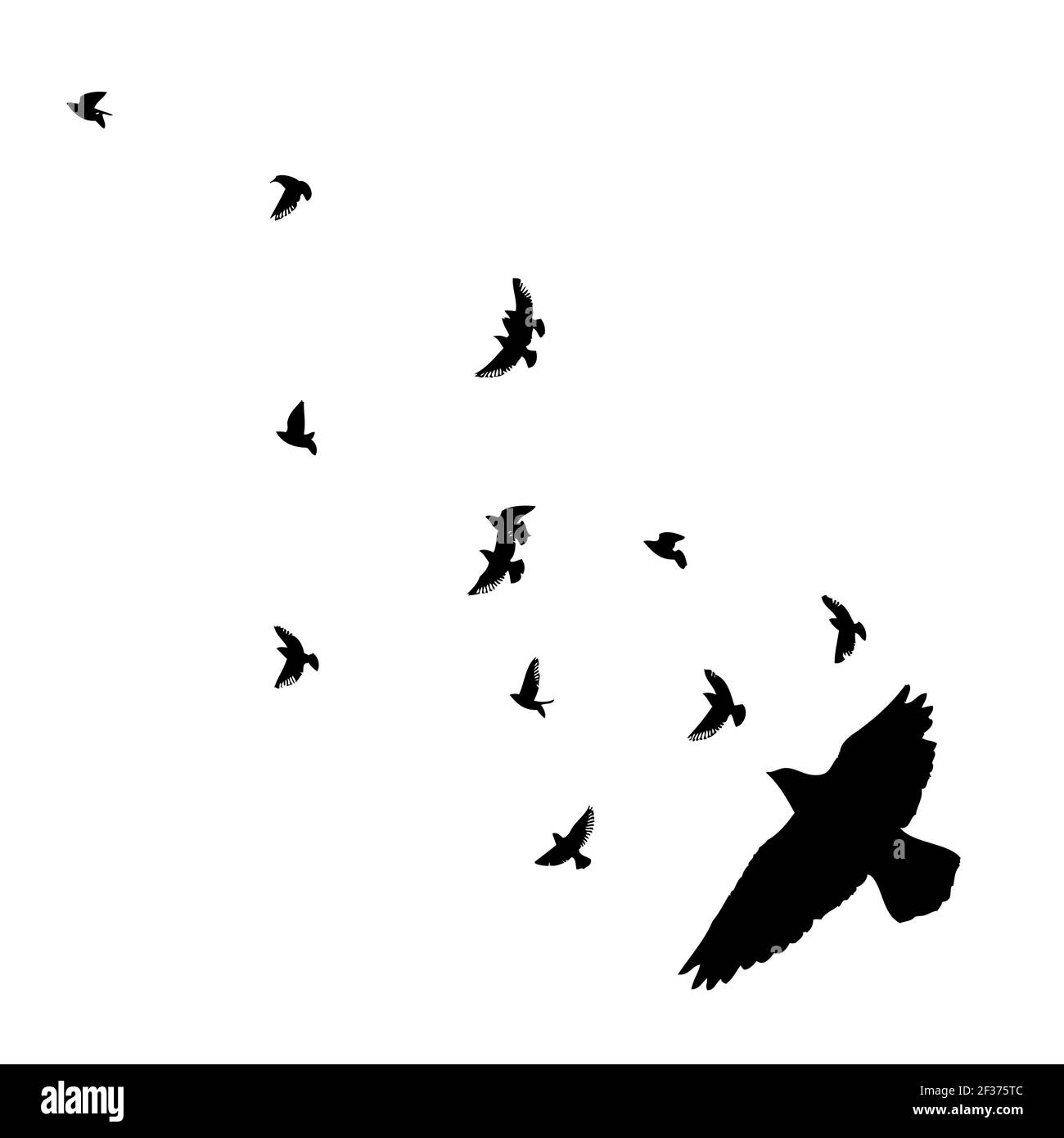 A flock of flying birds. Vector illustration Stock Vector Image & Art ...