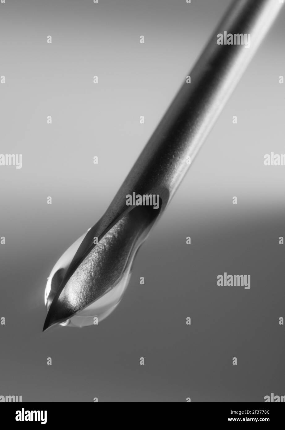 Heel of bevel hi-res stock photography and images - Alamy