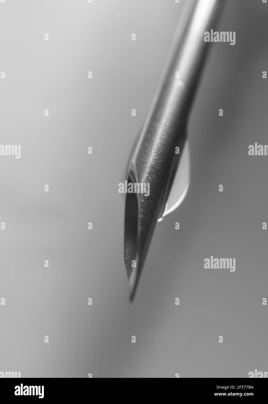 Macro Close-up Hypodermic Needle BD Microlance 18 Gauge 1/2, 57% OFF