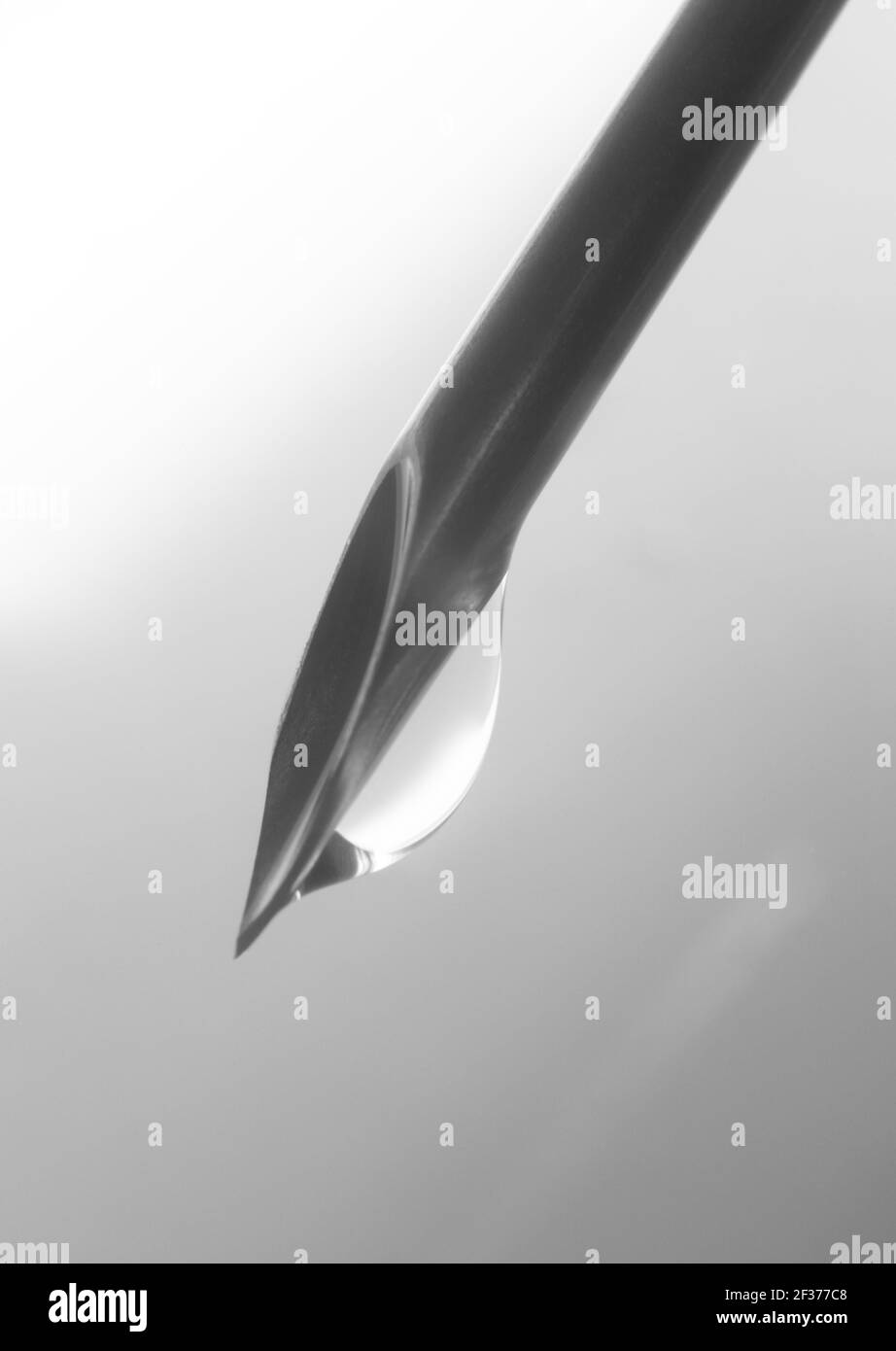 Heel of bevel hi-res stock photography and images - Alamy