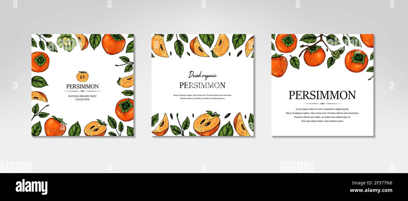 Set of hand drawn colorful persimmon design. Vector illustration in ...